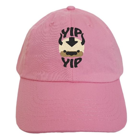 Accessories | Appa Avatar Hat | Poshmark